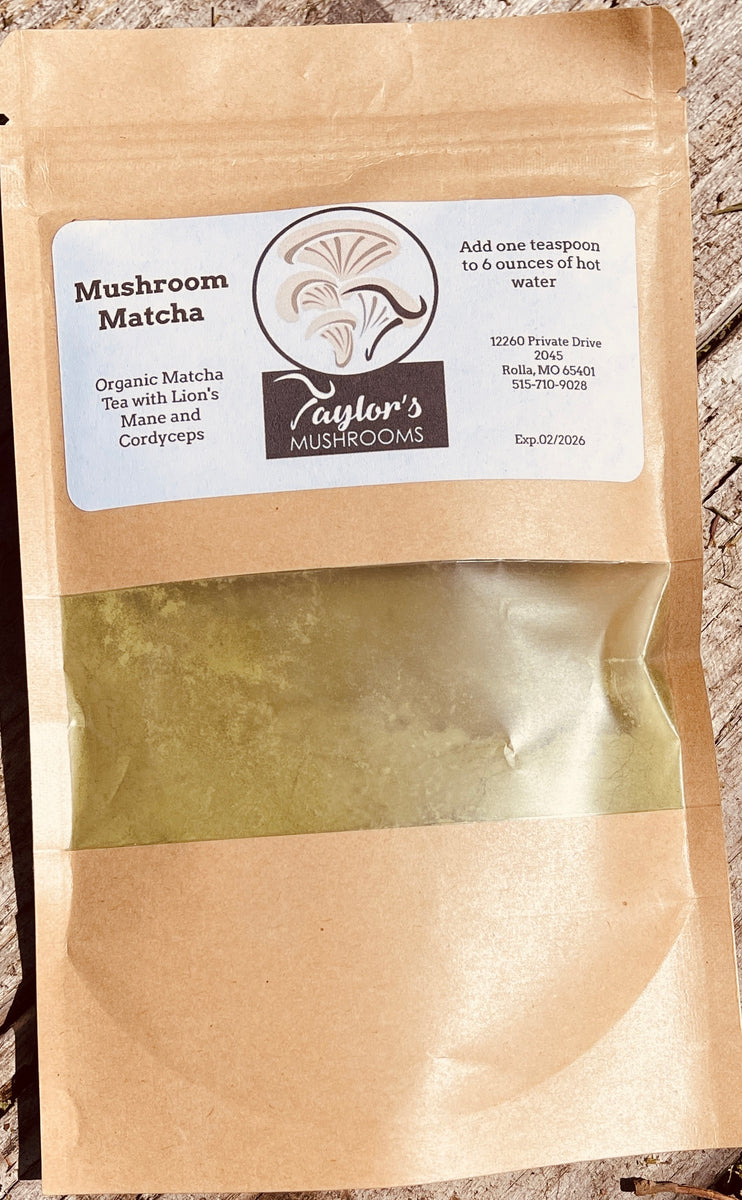 Matcha Mushroom Teas – Taylor’s Mushrooms